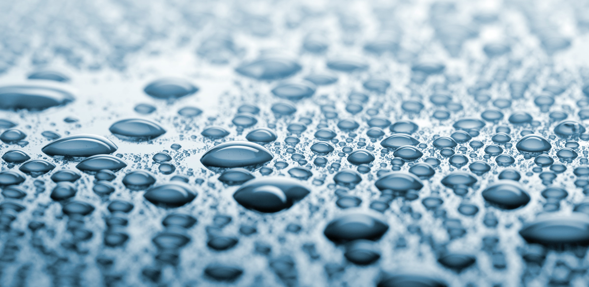 Bendita Gotera | CBN Latino